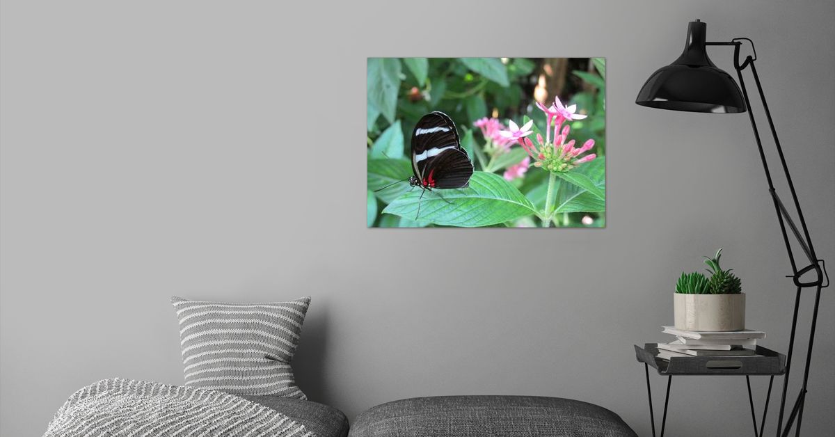 'Ebony and Ivory' Poster by Rosie Brown | Displate