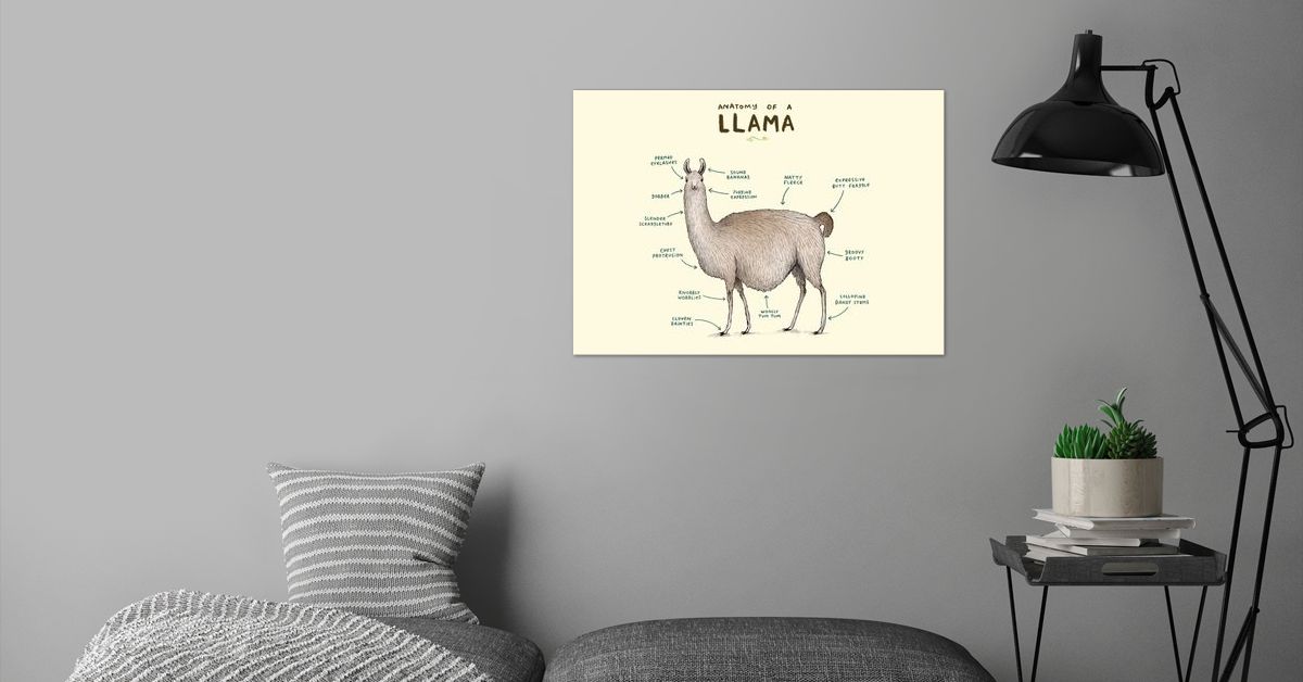'Anatomy of a Llama' Poster by Sophie Corrigan | Displate