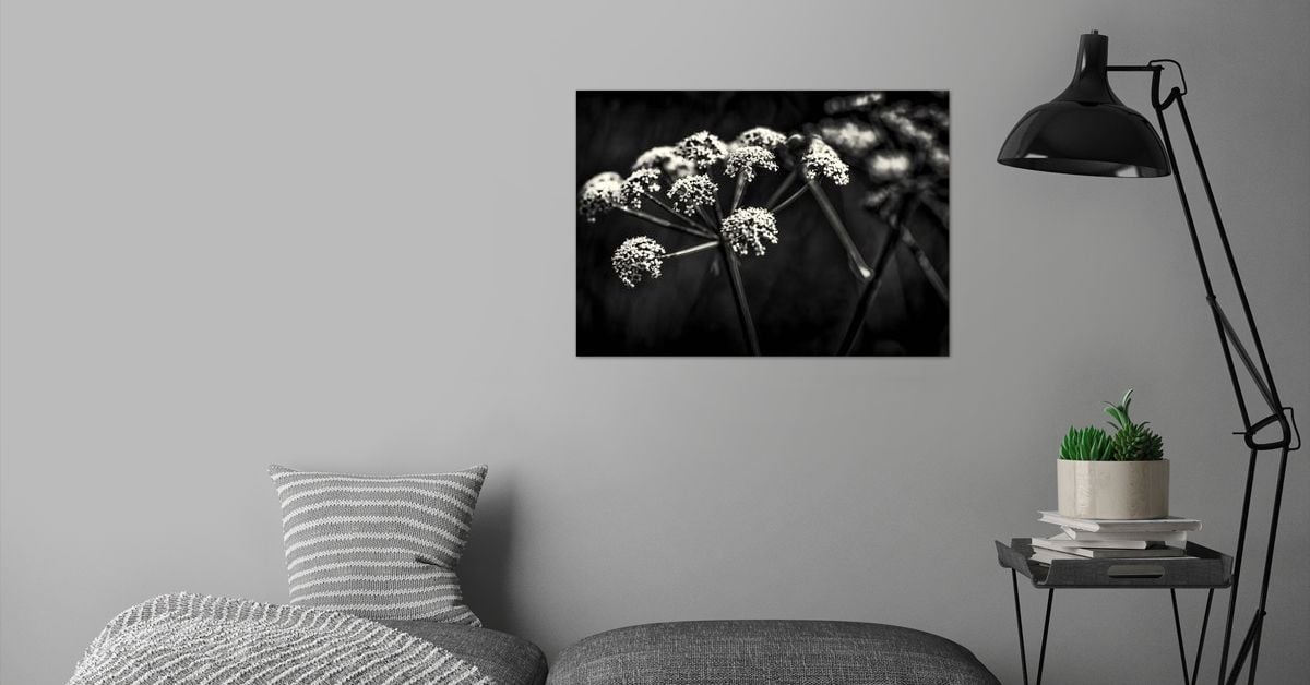 'Floral ' Poster by DB Photography | Displate