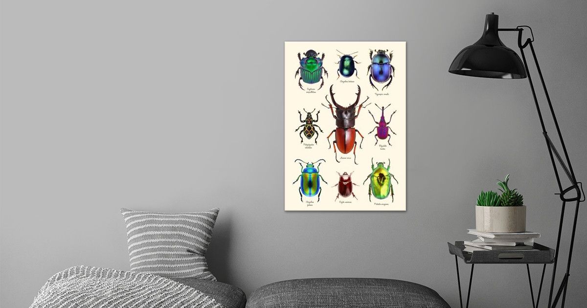'Collection of Rare Beetles' Poster by Wildlife Art Print | Displate