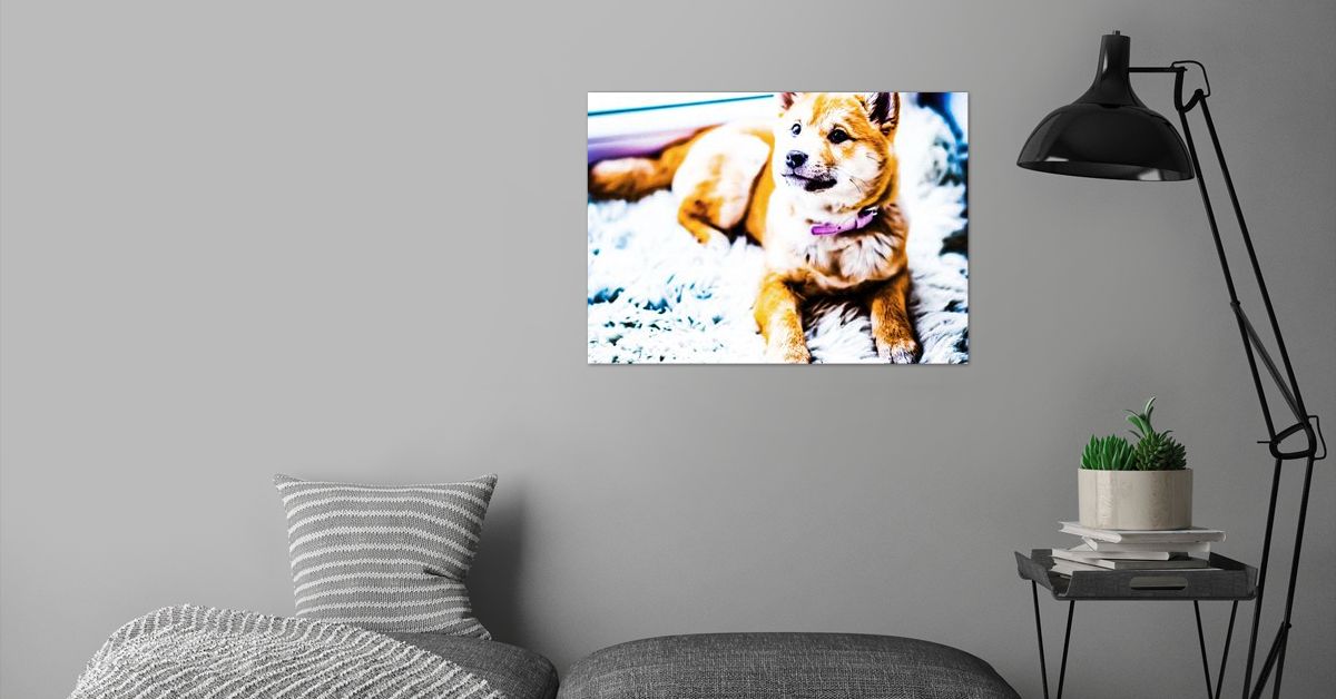 'HACHI' Poster by SHEIKH HUSSEIN | Displate