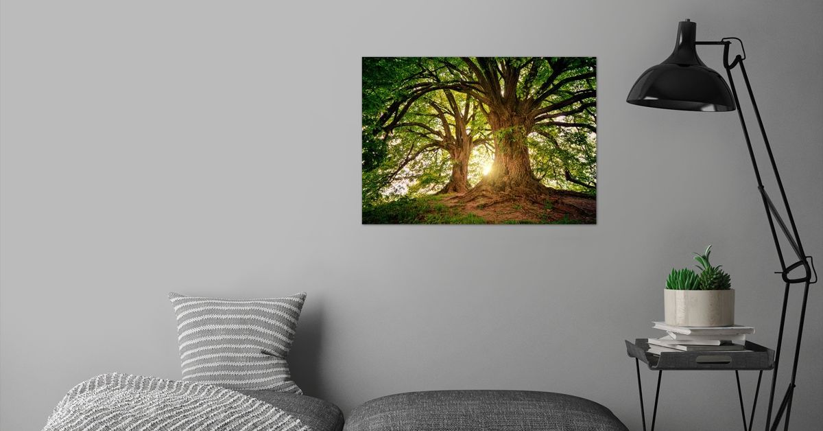 'Big trees' Poster by sophia pham | Displate