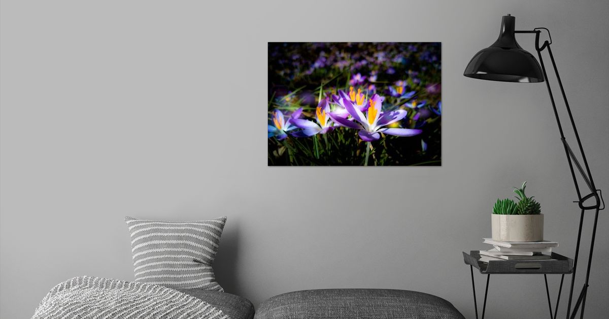 'blooming purple flowers' Poster by rhnaturestyles | Displate