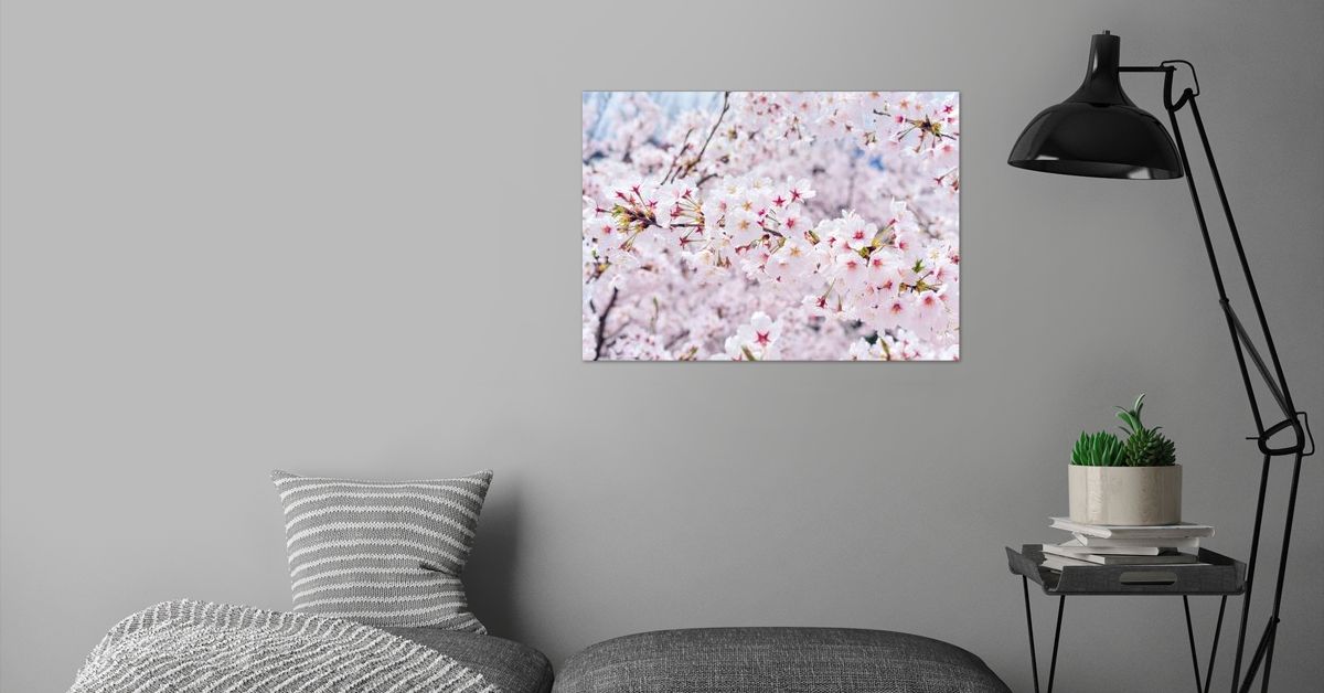 'Japanese Cherry Blossoms' Poster by Bear Amber Art | Displate