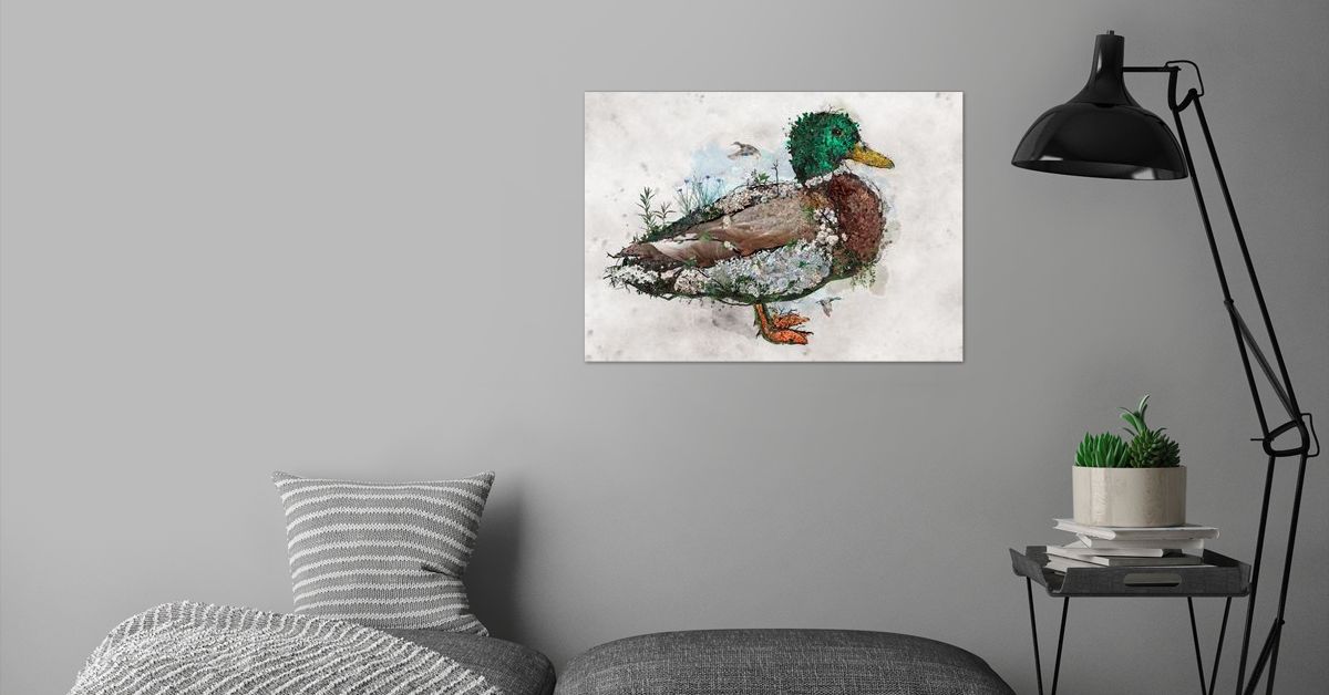'Mallard Duck' Poster by Barrett Biggers | Displate