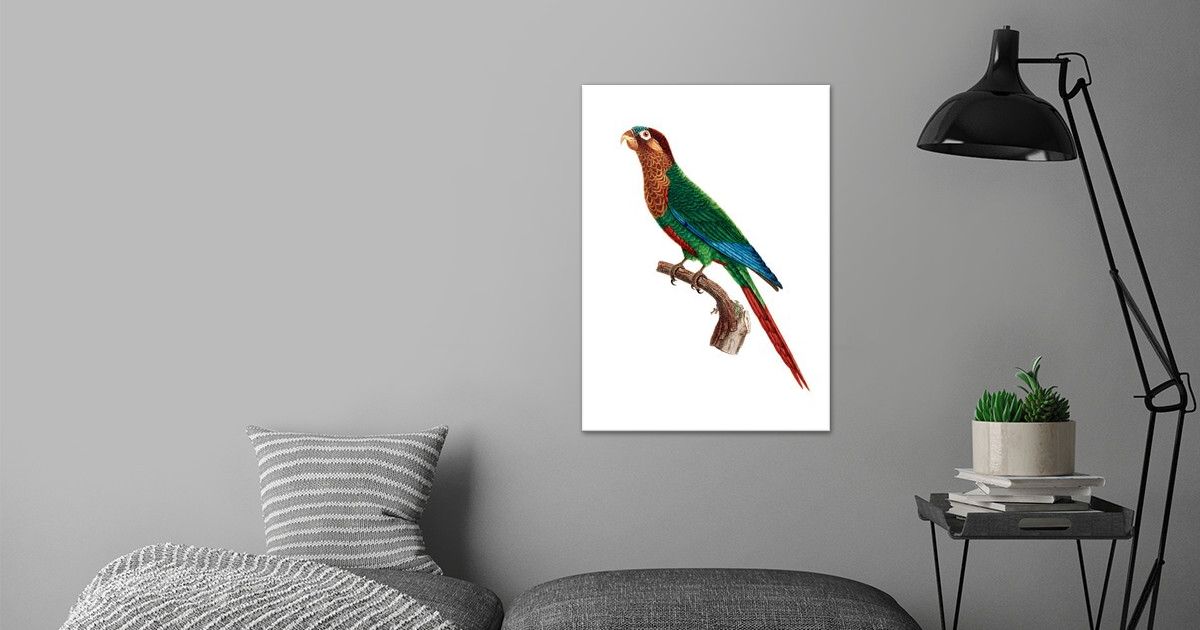 'Wave Breasted Parakeet' Poster by Holy Rock Design | Displate
