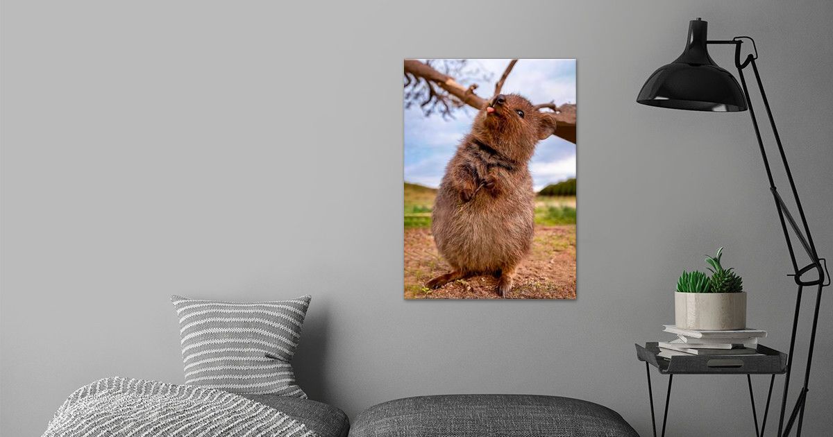 'Quokka ' Poster by Diego The Designer | Displate