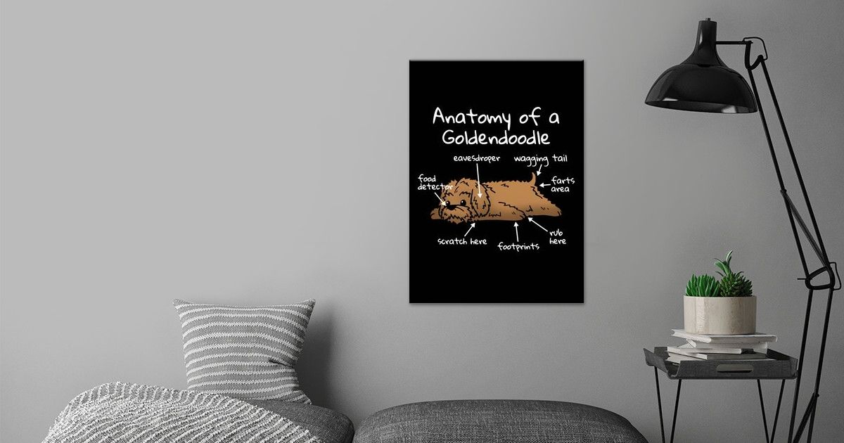 'Anatomy Of A Goldendoodle' Poster by PetPrints | Displate