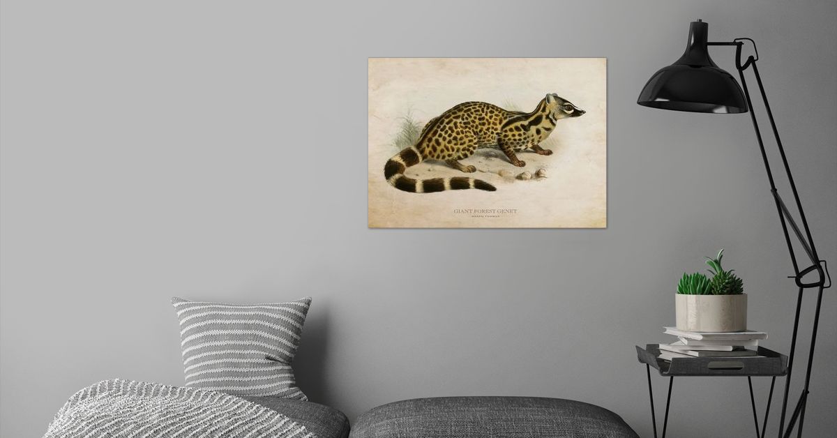 'Giant Forest Genet' Poster by Aged Pixel | Displate