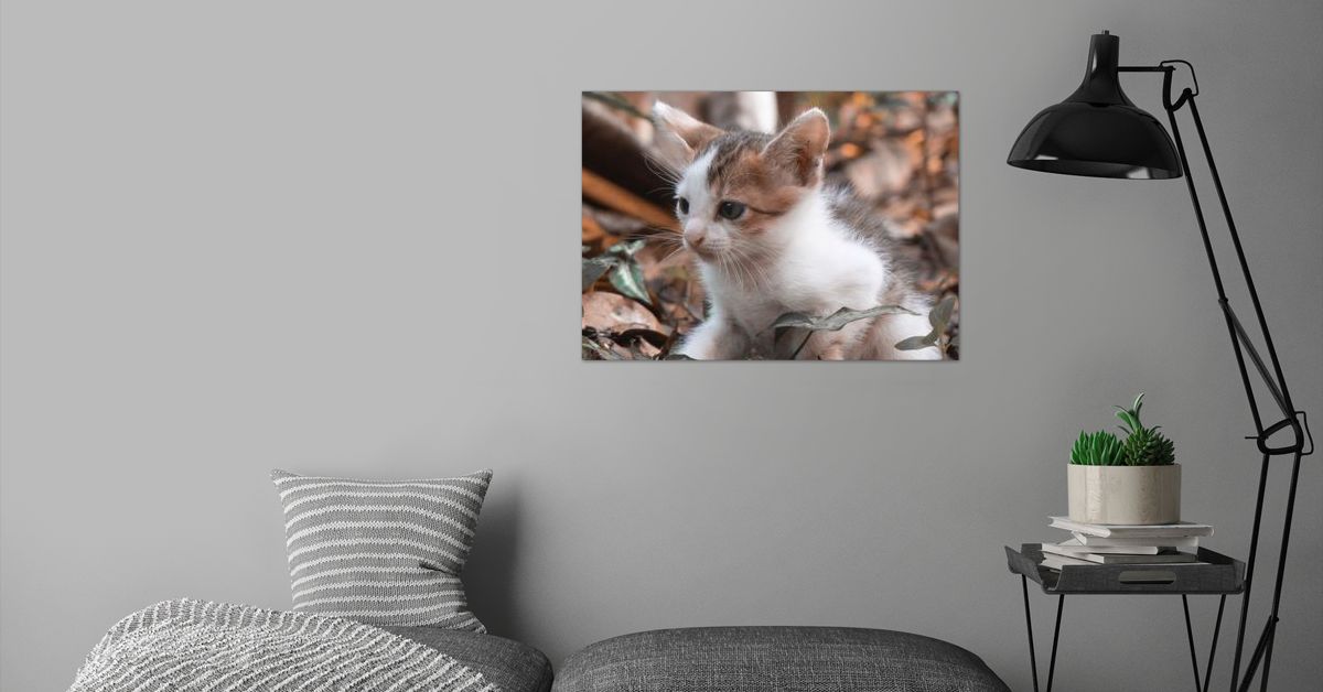 'Cute Cat ' Poster by Praneeth Madushanka | Displate