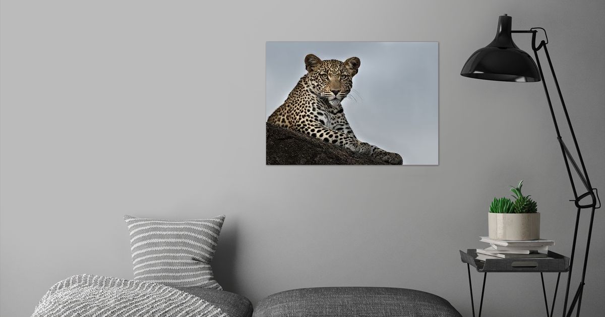 'This is my turf' Poster by Joe OConnell | Displate