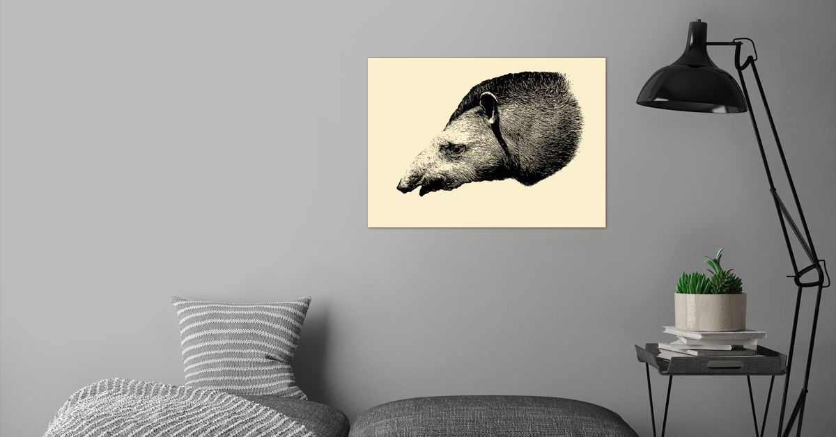 'Tapir portrait' Poster by Gyula Gvardián | Displate