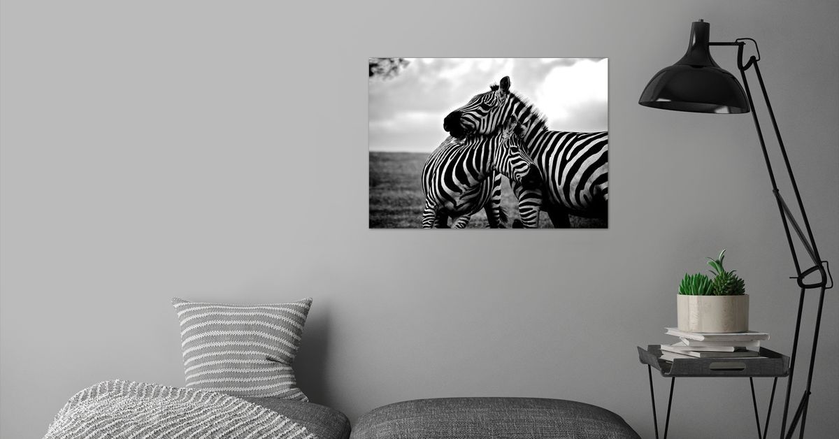 'Zebras' Poster by Tim | Displate