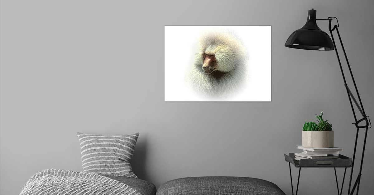'Baboon' Poster by Gyula Gvardián | Displate