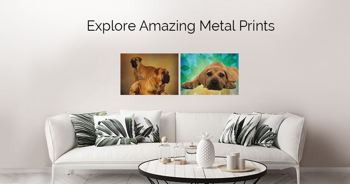 'Boerboel South African Mastiff' Posters | Lioudmila Perry | Displate