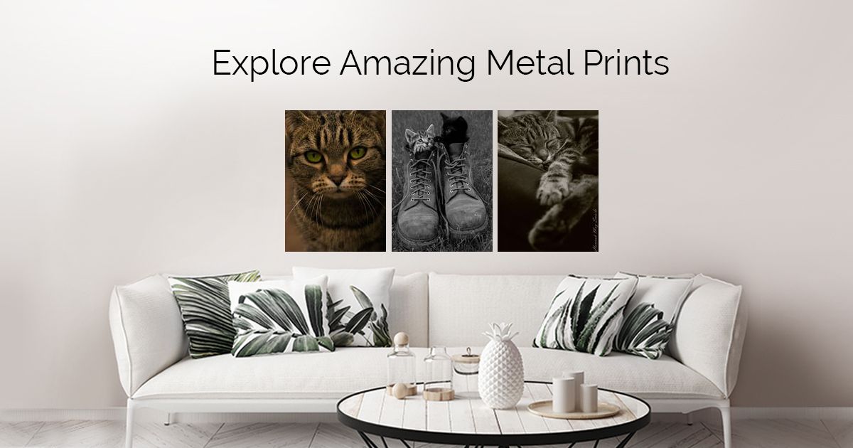 'Cats' Posters | Hannah Smaile | Displate