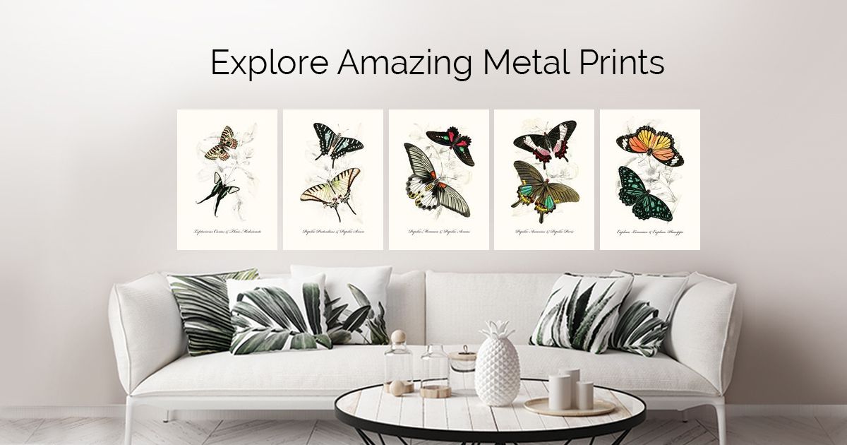 Displate - metal posters | Collect Your Passions