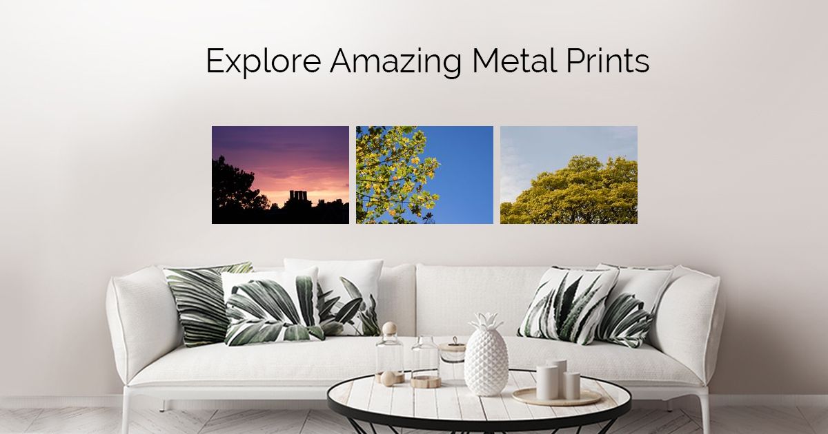 'Nature light' Posters | Stuart Dalgleish | Displate