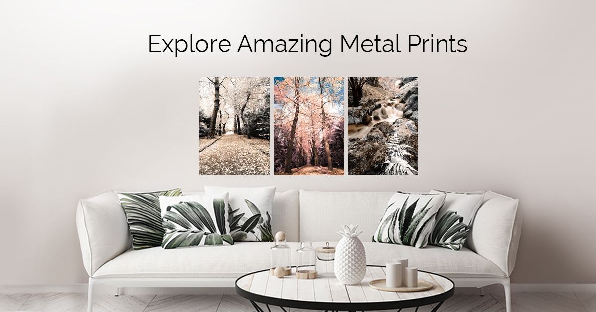 'Infrared Photography' Posters | Gaspar Avila | Displate